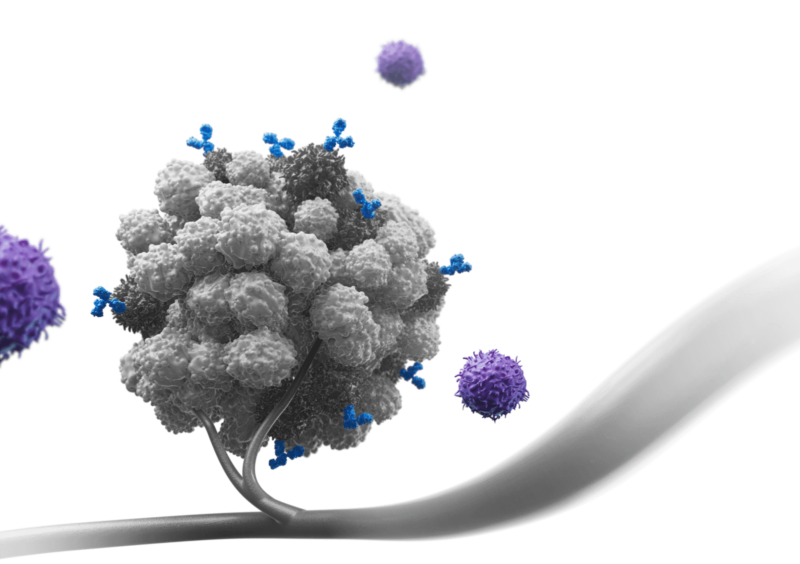 Approach » Sensei Bio