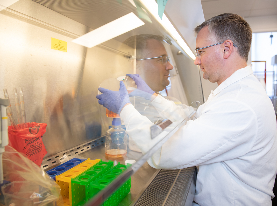 Life at Sensei » Sensei Bio